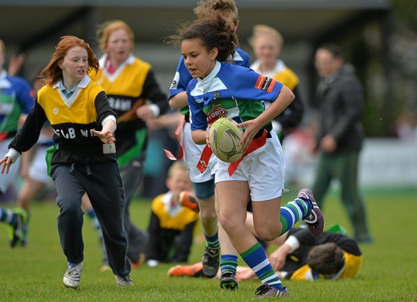 Leinster Rugby - Gorey ready to host South East 7's...