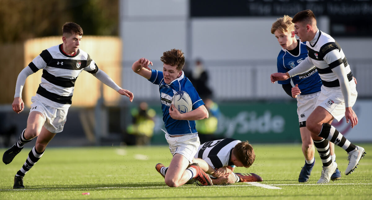 Gallery: Belvedere book Second Round spot - Leinster Rugby