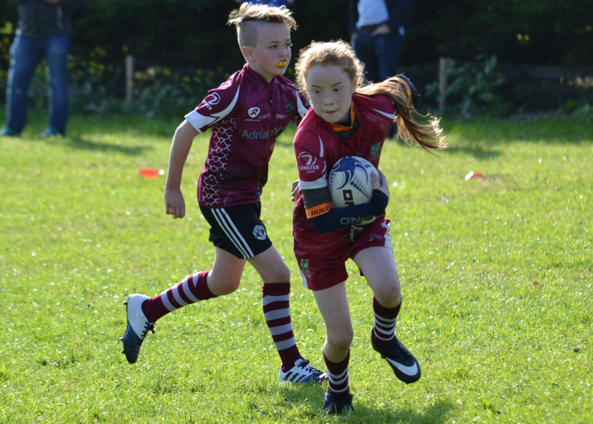 Leinster Rugby - No restrictions on Portarlington RFC’s development ...