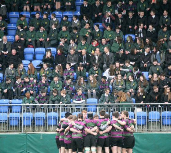 Leinster Rugby - Sandford Park School seeks Head of Rugby