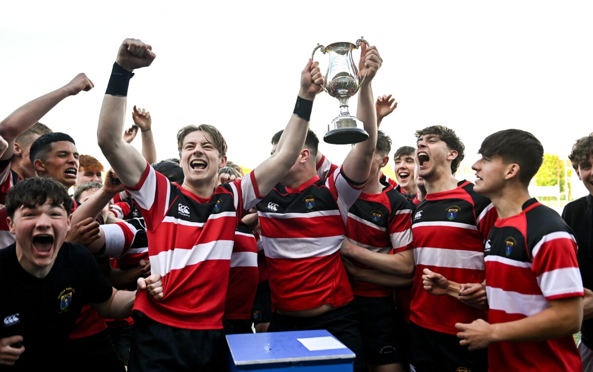 Leinster Rugby - Wicklow seal D'Arcy Cup triumph with narrow win over ...